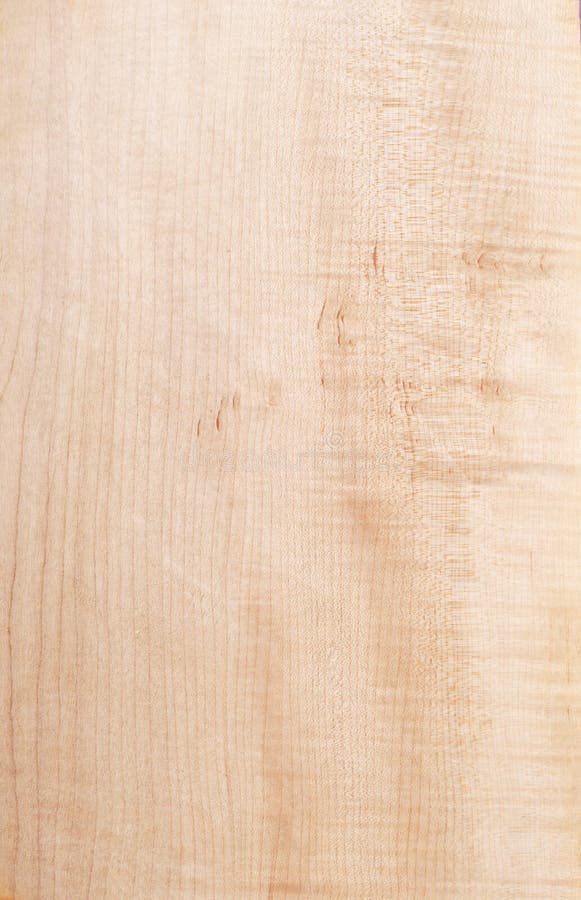 White Stained Wood Texture stock image. Image of pine - 4432801