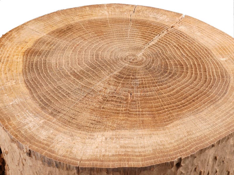 Wood stock image. Image of texture, bark, heating, trunk - 28402925