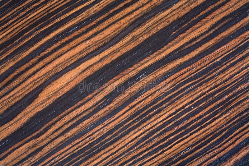 Wood stock photo. Image of bumpy, texture, design, wood - 526448