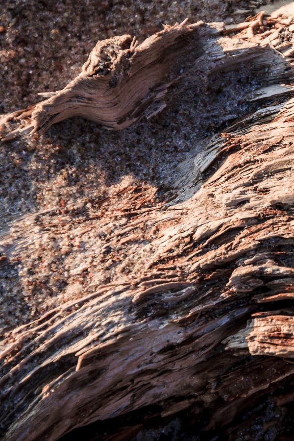 Wood abstract composition stock image. Image of shadows - 92065733