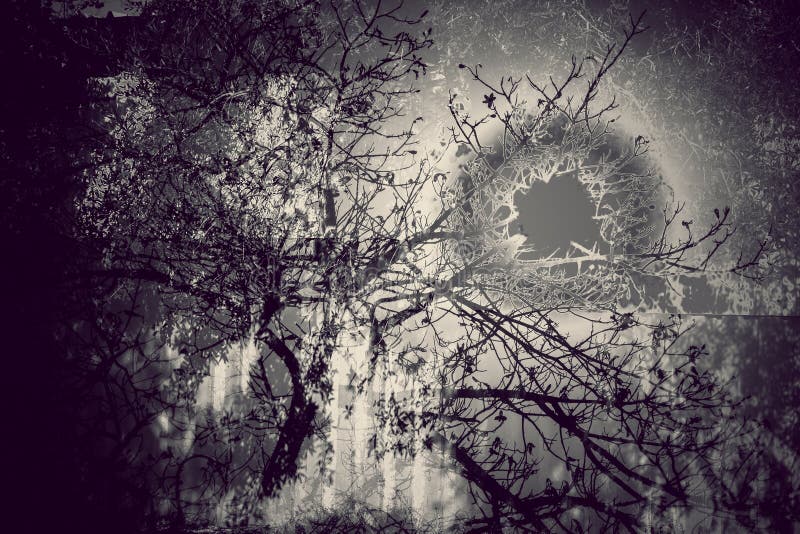 Wood-Abstract Photography stock image. Image of wood - 45938303