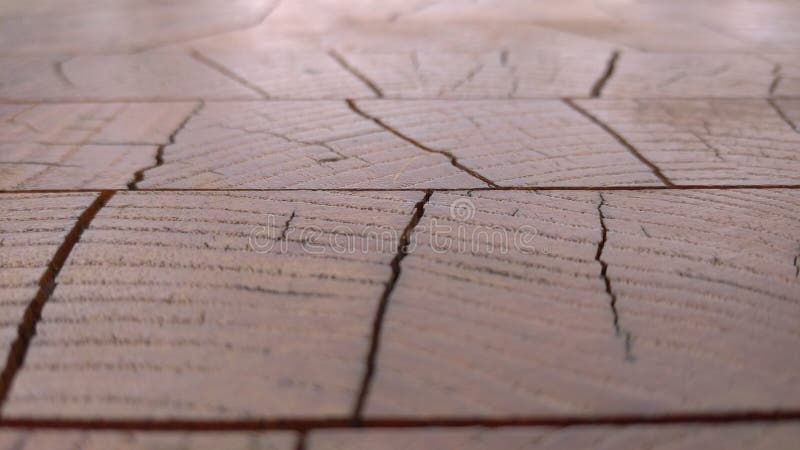 Wood in the Alps stock image. Image of alps, text, handwriting - 192699663