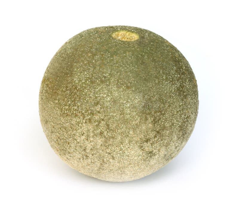 Wood apple or Kod bel stock image. Image of shell, fruit - 31169623