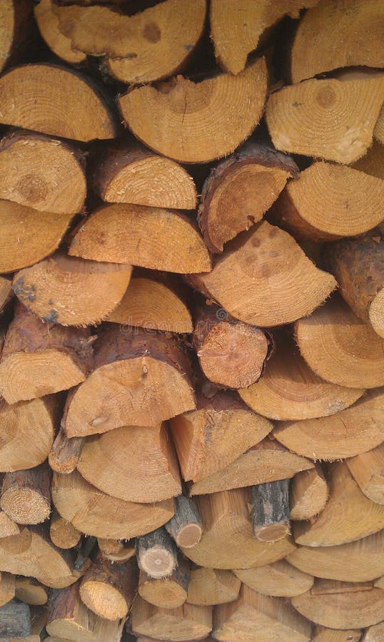 Wood cortex stock image. Image of plank, weathered, brown - 7480907