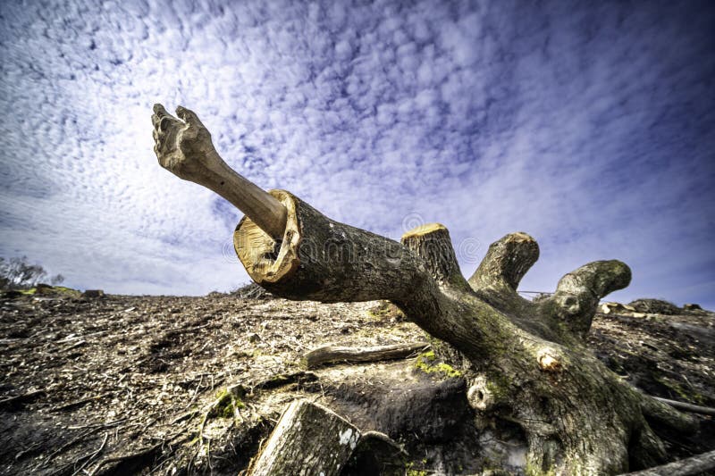 Wood Art Made of Fallen Trees on the Danish National Monument ...