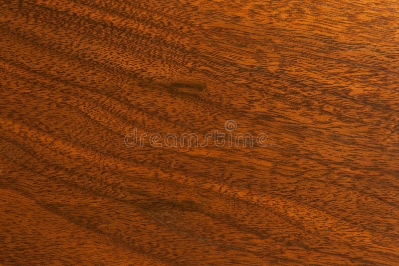 Wood floor stock photo. Image of brown, floor, grain, flooring - 3697844