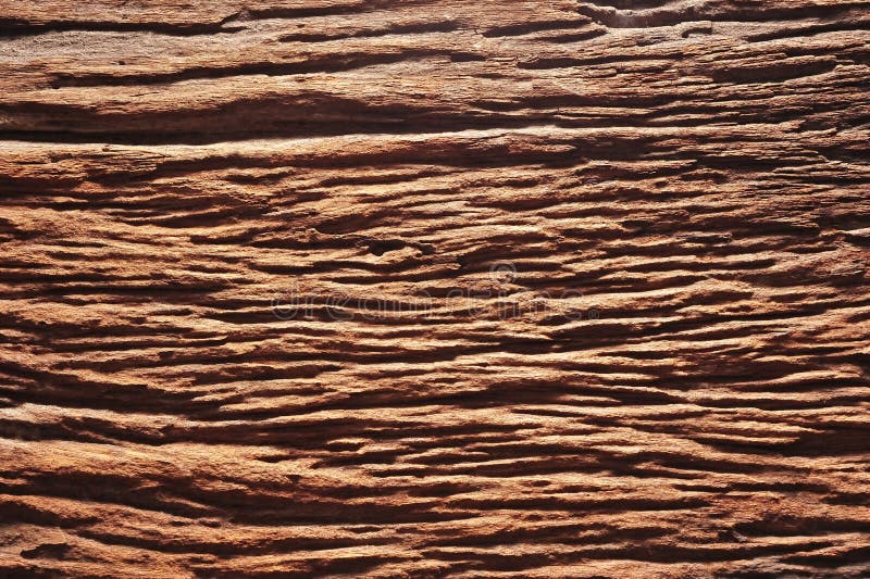 Wood worm holes stock photo. Image of background, brown - 8094742