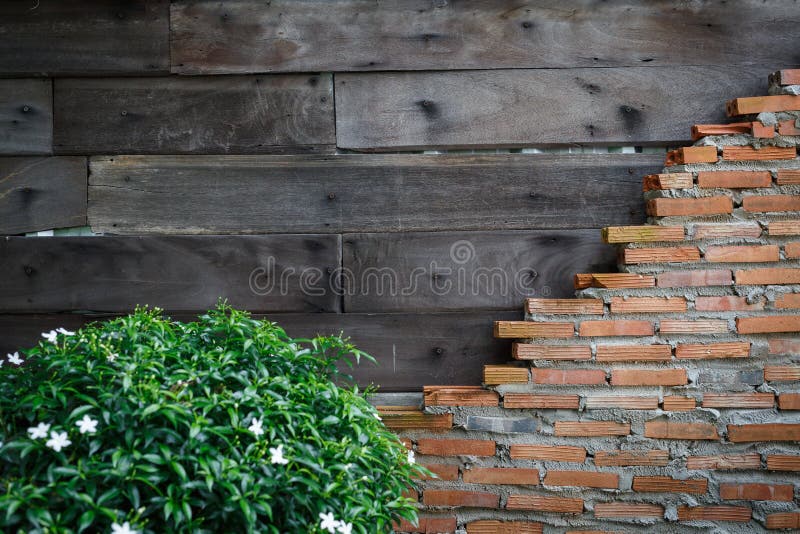 Wood Background and Brick and Tree Foreground Stock Image - Image of ...