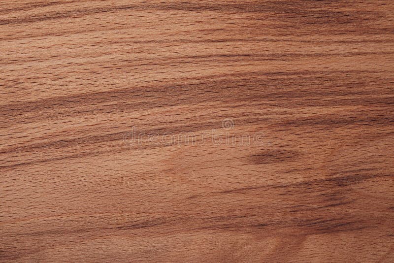 Wood Background Close-up of Beech Wood Texture Stock Image - Image of ...