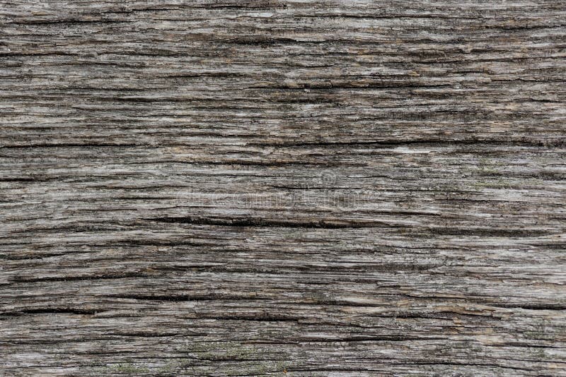 Wood Background. Closeup of Old Gray Wood Texture Stock Photo - Image ...