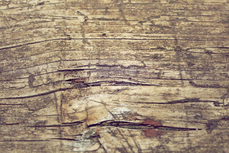 Wood background template stock image. Image of board - 186764367