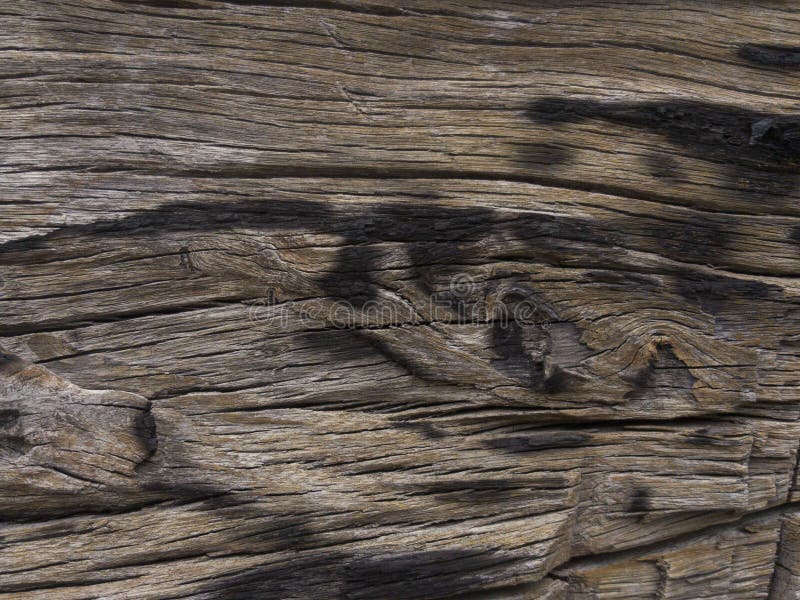 Wood Background Texture Close Up. Damaged Wood Close Up Stock Photo ...