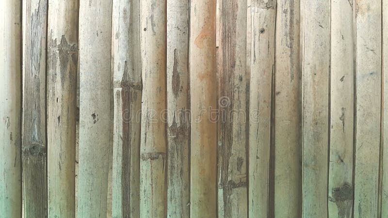 Wood Bamboo Close Up Texture Stock Image - Image of nature, tree: 76051399