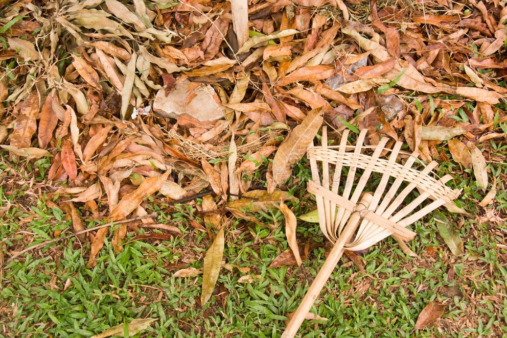 Wood, Bamboo Harrow and Leaf Dry Stock Photo - Image of bamboo ...