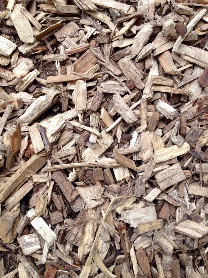 Bark Chippings stock image. Image of vegetation, landscaping - 310158435