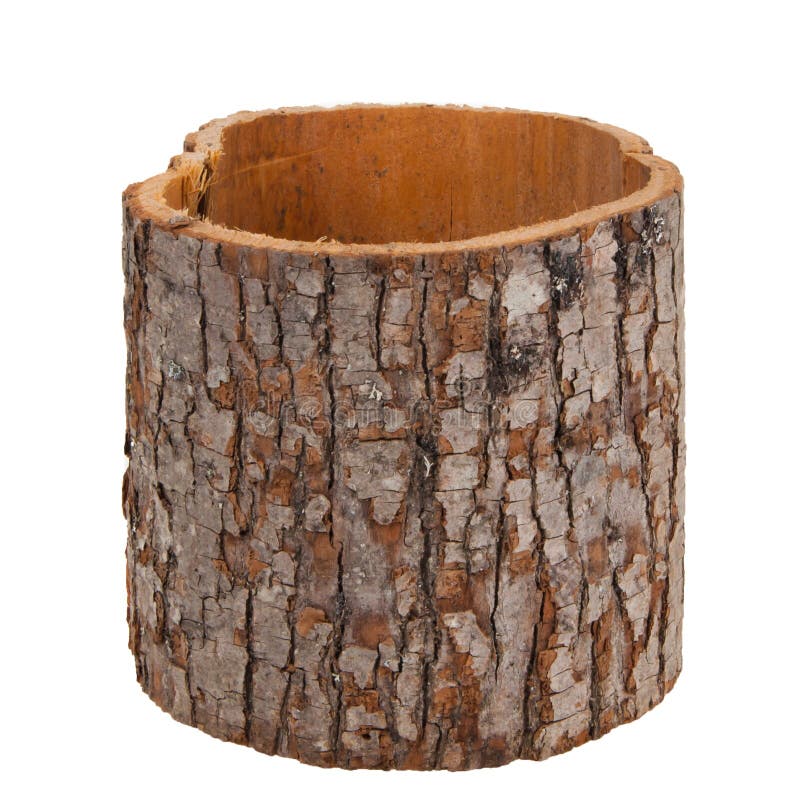 Wood Bark Rolled into a Tube Stock Image - Image of branch, bark: 181329967