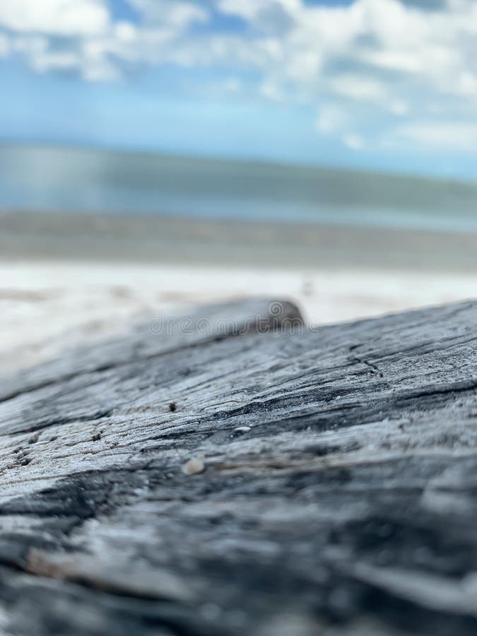 Wood stock image. Image of wood, sand, beach, noon - 274545713