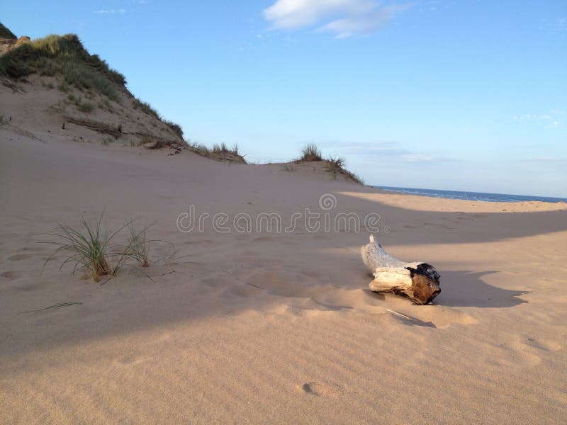 Wood on the beach stock image. Image of clouds, grass - 62944807