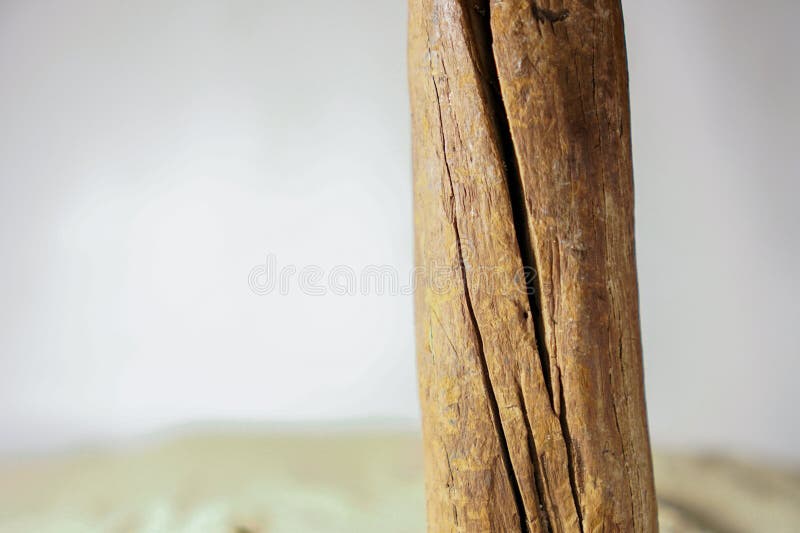 Wood on Beach Sand Isolated Stock Image - Image of ocean, seaco: 377859137
