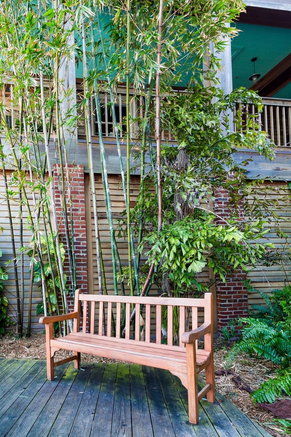 Wood Bench by Bamboo stock photo. Image of vintage, plant - 72645516
