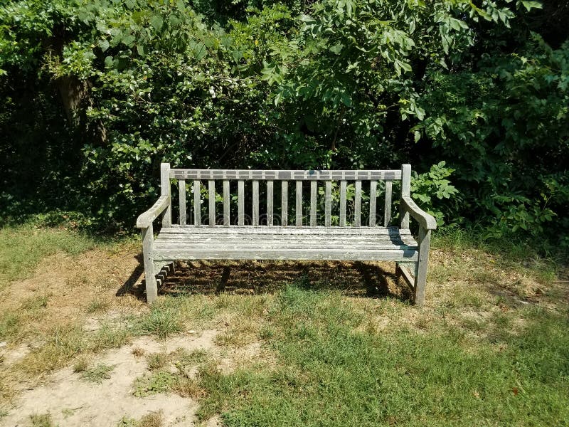 Wood Bench Covered in Lichen in the Grass Stock Photo - Image of bench ...