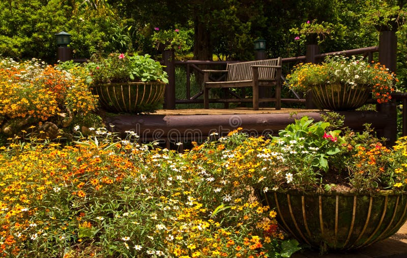 Wood Bench in Flower Garden Stock Image - Image of background, rest ...