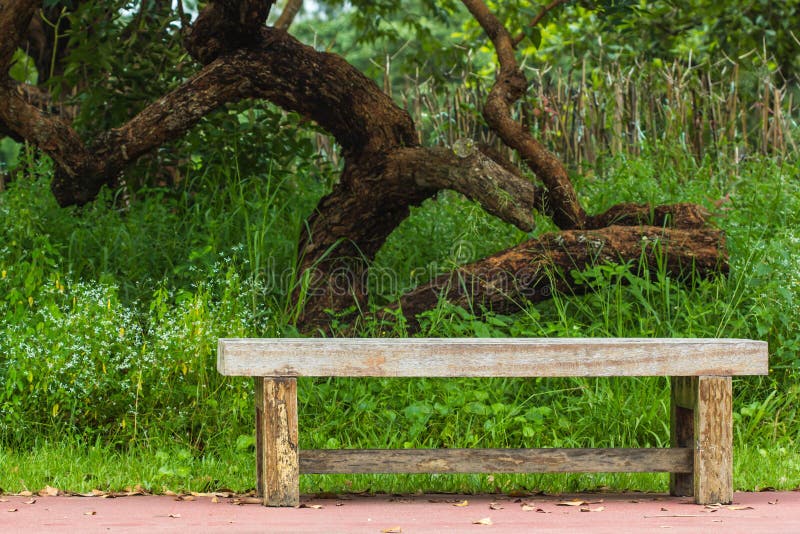 Wood Bench on Garden Background Stock Photo - Image of wooden, outdoor ...