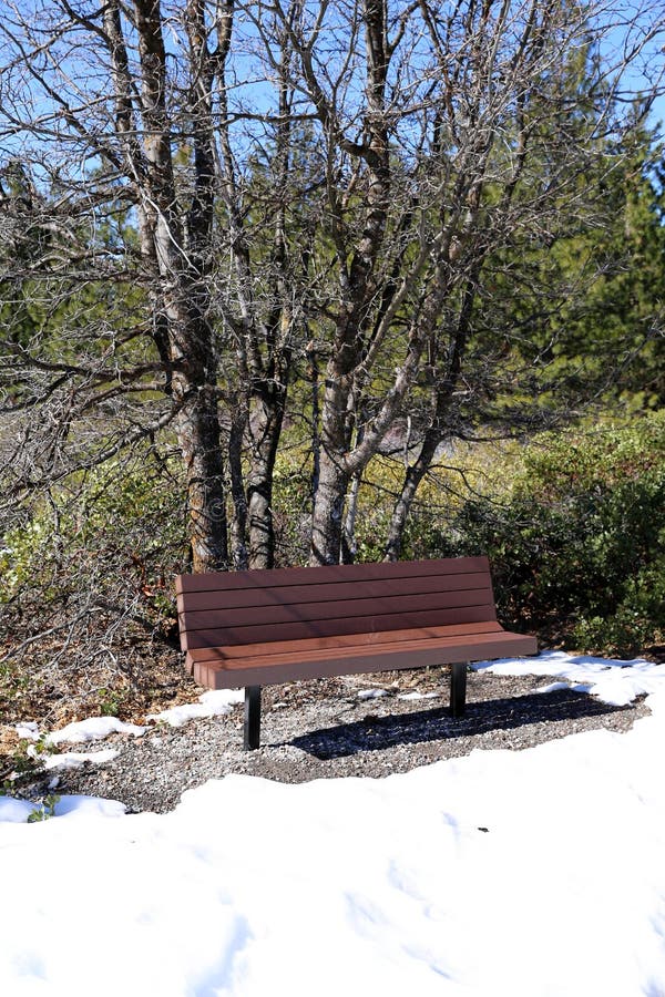 Wood Bench in the Spring with Snow on the Ground Stock Photo - Image of ...