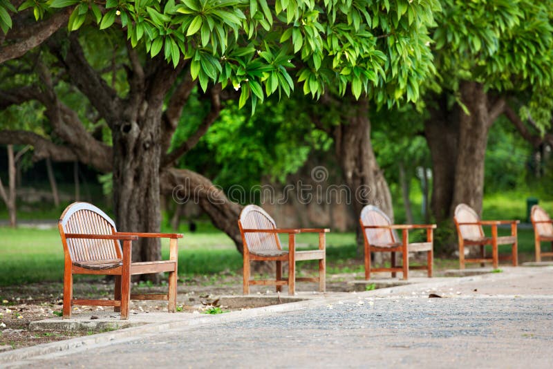 Wood bench under tree stock photo. Image of green, outdoor - 22255810