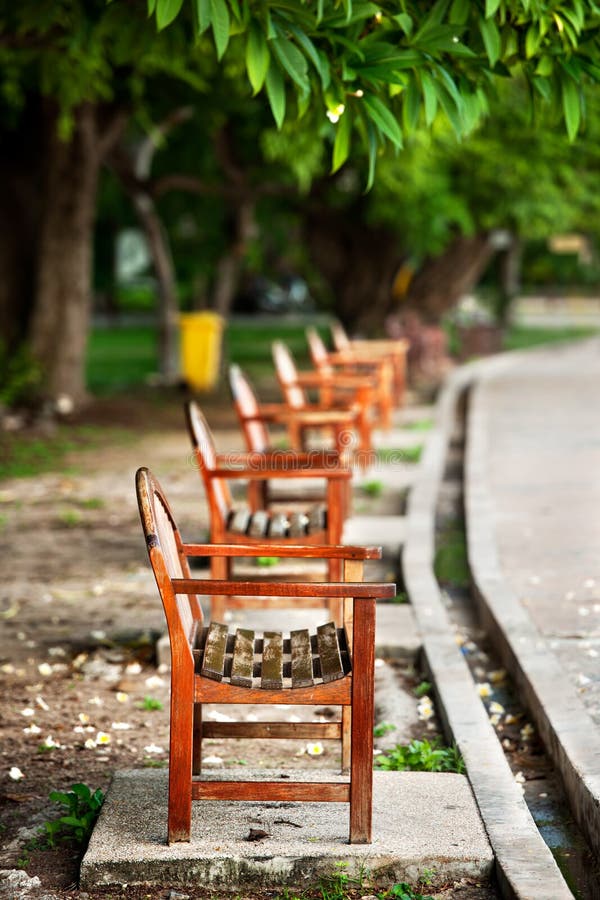 Wood bench under tree stock image. Image of city, landscape - 22255827
