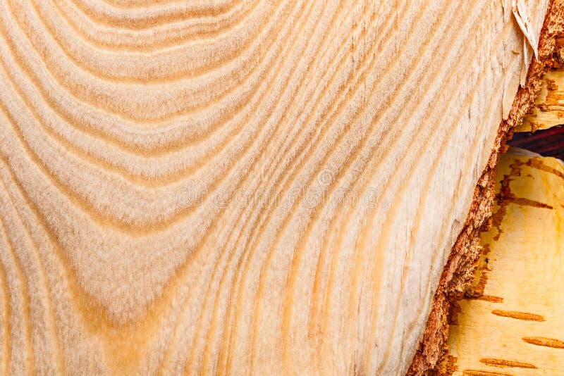 Birch Wood Texture Background. Abstract Natural Pattern Stock Image ...
