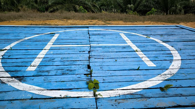 Wood Blue Helipad of Palm Plantation Stock Image - Image of plantation ...