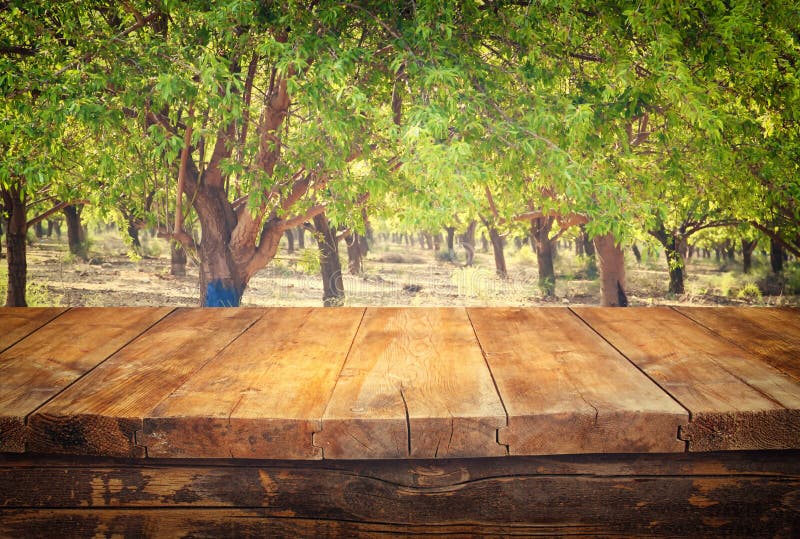 Wood Board Table in Front of Trees Background. Ready for Product ...