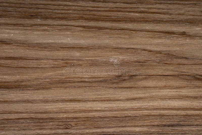 Wood board texture stock photo. Image of macro, floor - 127466534