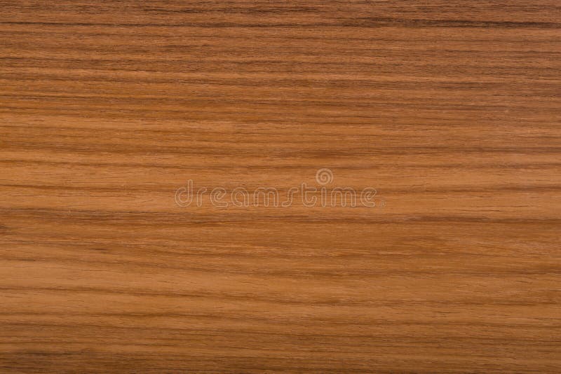 Cedar Wood Texture