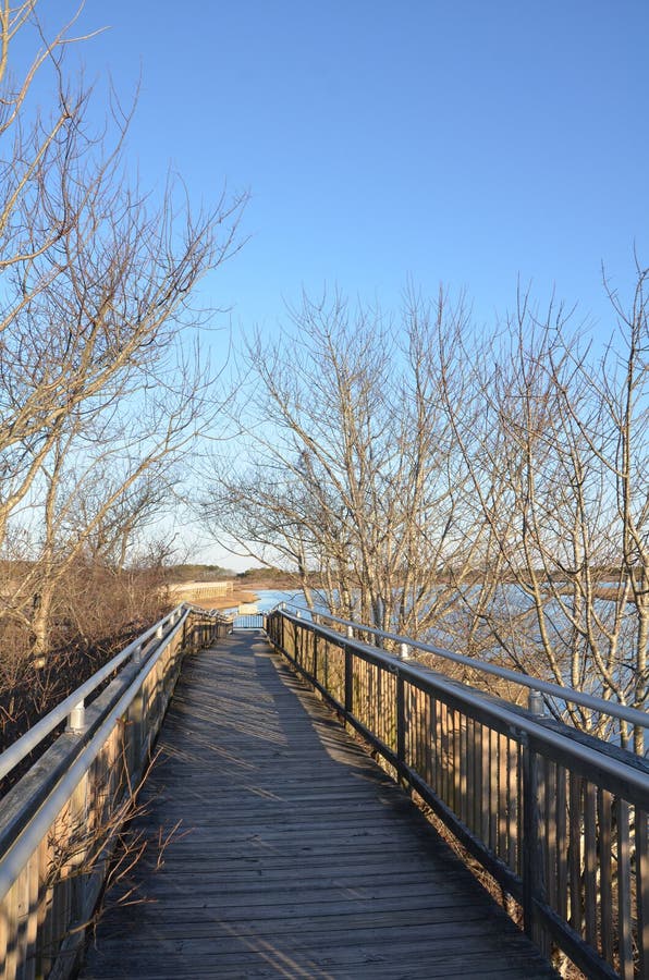 Wood Boardwalk or Path with Trees and Water Stock Image - Image of lake ...