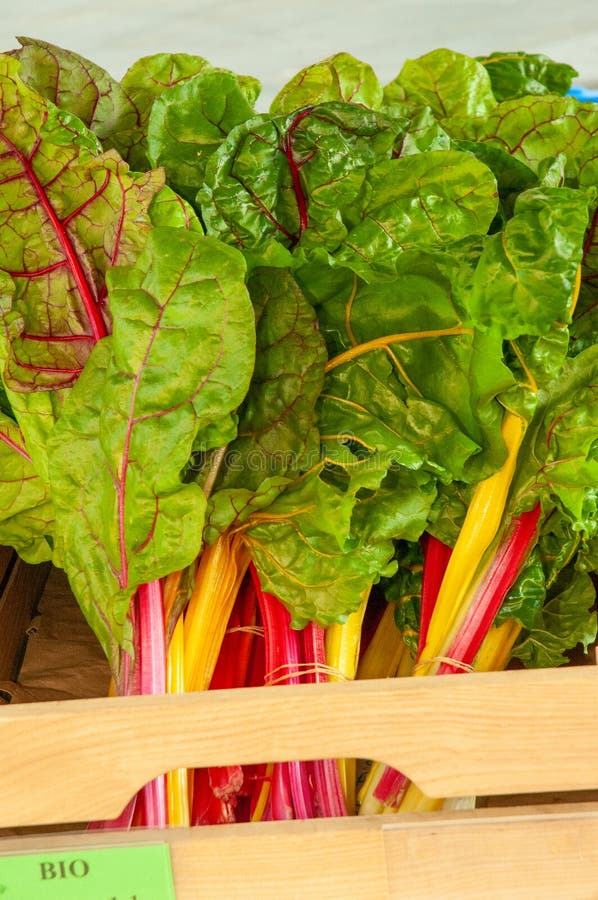 Wood Box Filled with, Local, Freshly Cut Rhubarb, for Sale Stock Image ...