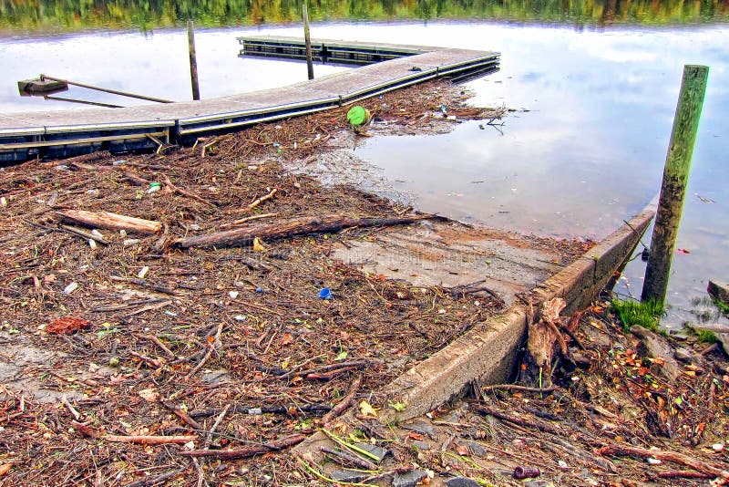 Wood Branch Debris and Trash after a River Flood Stock Image - Image of ...