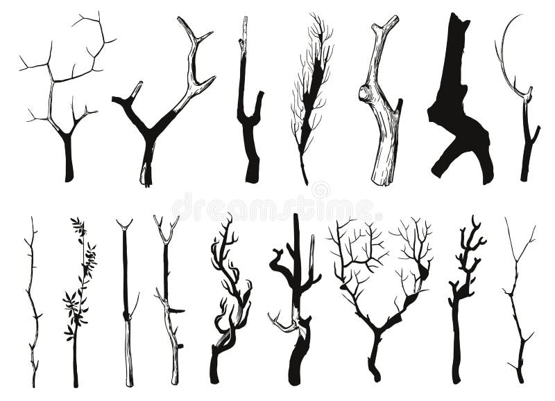 Wood Branches Collection on Isolated Vector Silhouette Stock ...