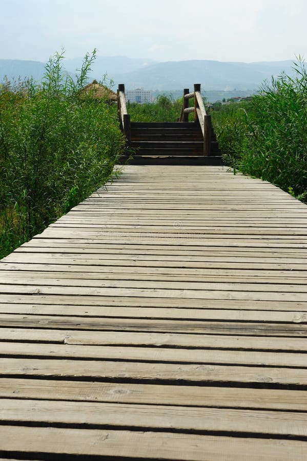 Wood Bridge stock photo. Image of tree, plant, pathway - 10919958