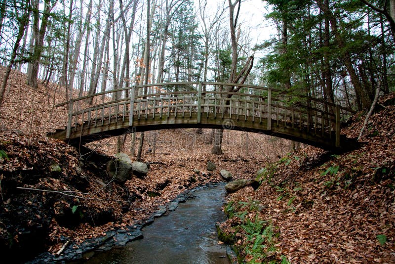 Unsafe Bridge stock photo. Image of wooden, wood, water - 97468