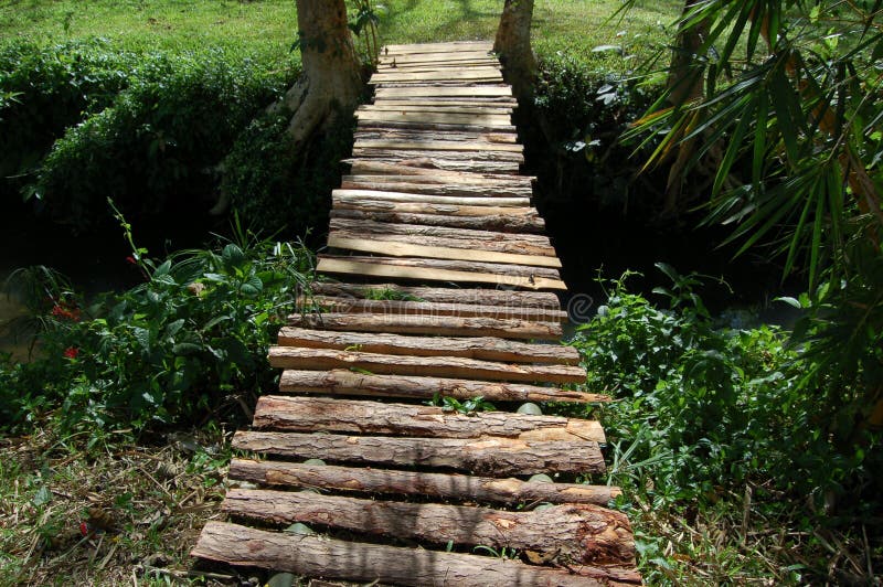 Wood Bridge stock image. Image of poles, bridge, trees - 2006561