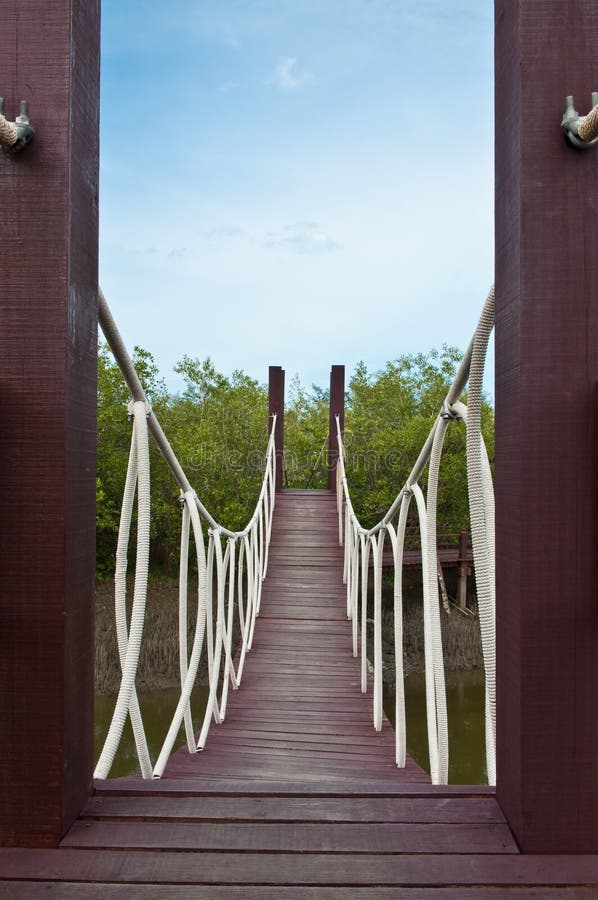 Adventure Wooden Rope Jungle Suspension Bridge Stock Image - Image of ...