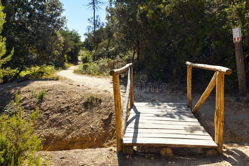 Wood bridge stock photo. Image of wood, nature, beautiful - 37542802