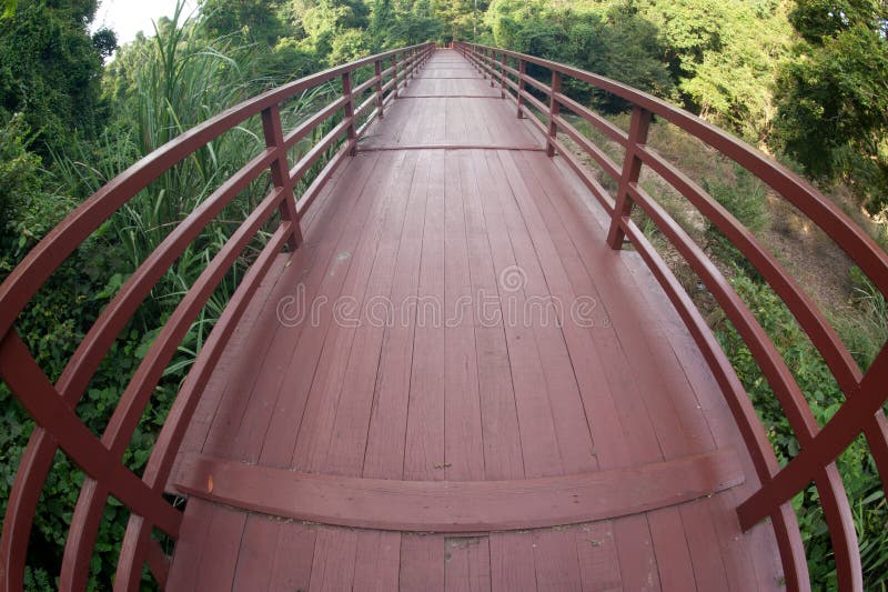 Wood bridge across river . stock photo. Image of forest - 26099646