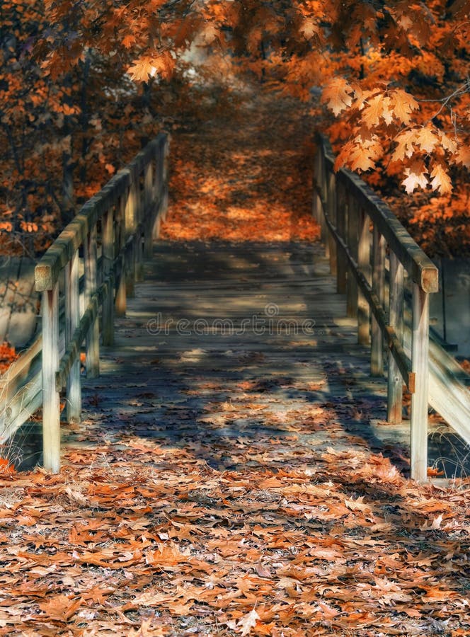 Wood Bridge in Autumn Colors and Dreamy Atmosphere Stock Image - Image ...