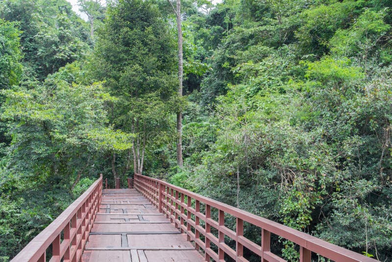 Wood bridge stock photo. Image of lake, park, walk, environment - 64694806