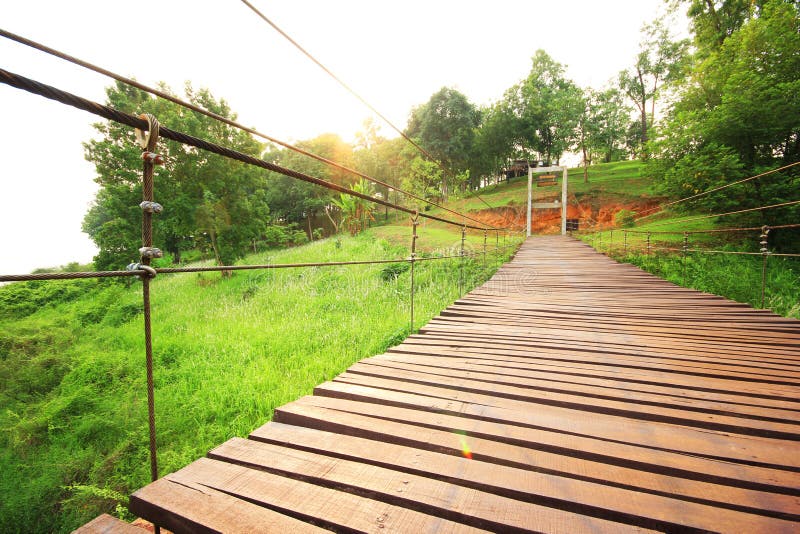 Wood Bridge Cross Grass Land Stock Image - Image of bridge, trees: 40682515