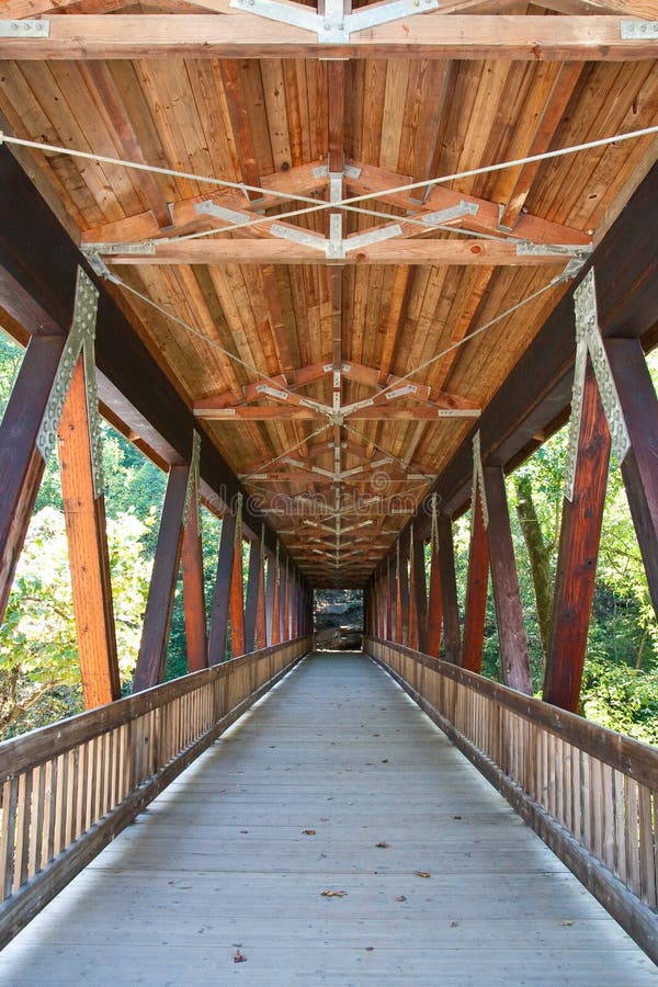Wood Bridge into Forest stock photo. Image of wood, bridge - 13450348