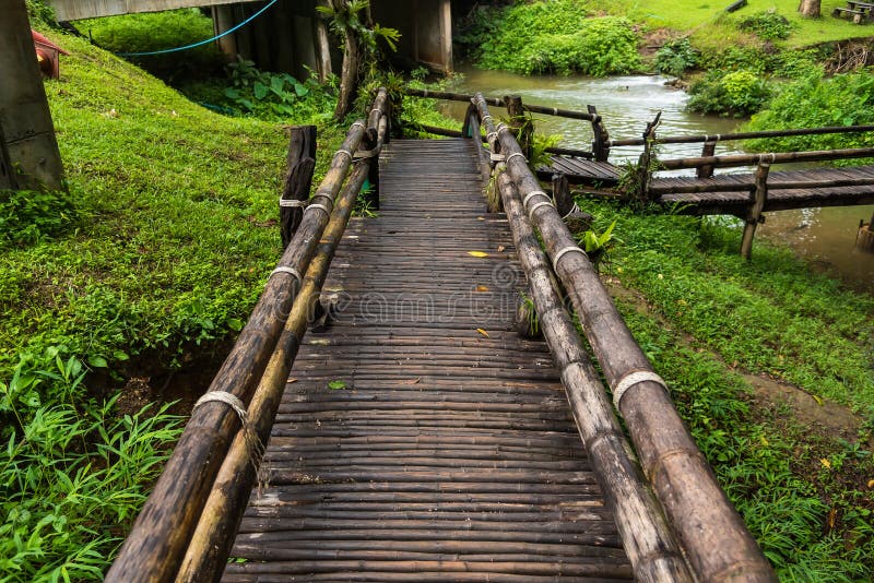 Wood Bridge into the Forest Stock Photo - Image of trail, river: 154266804